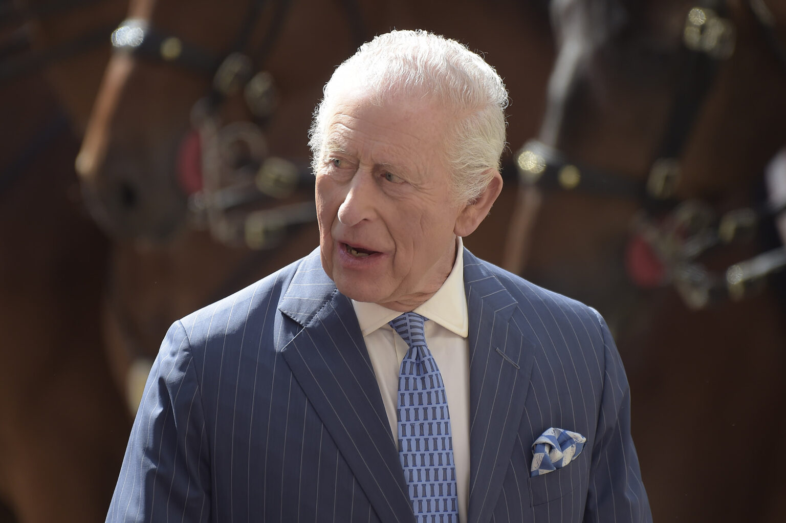 What languages does King Charles speak after showing off his French ...